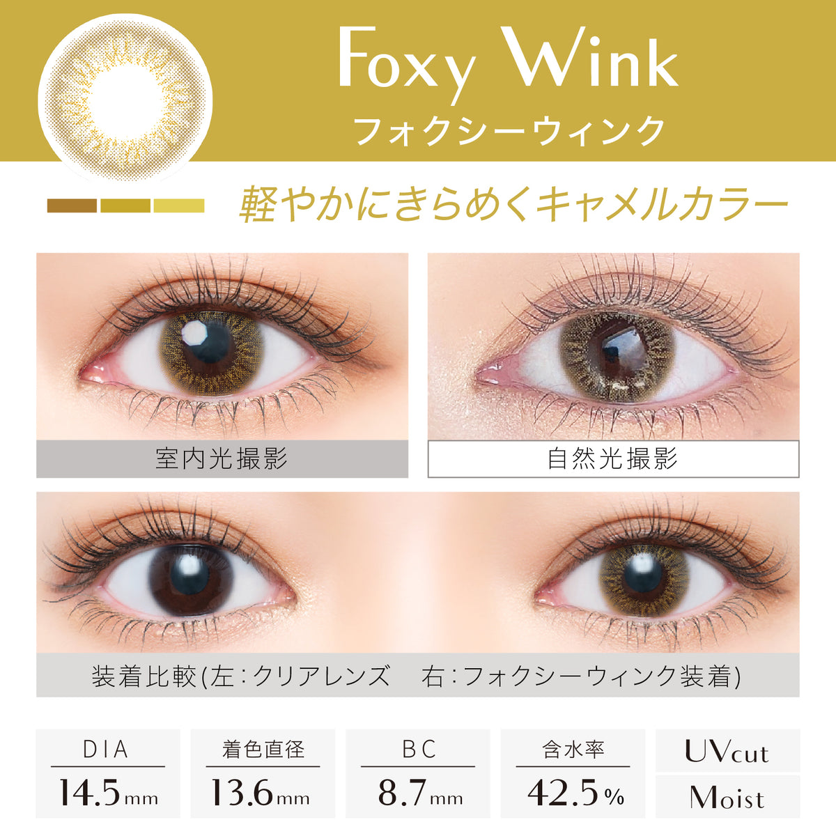 EverColor 1day LUQUAGE – Foxy Wink – BearBrickoptical